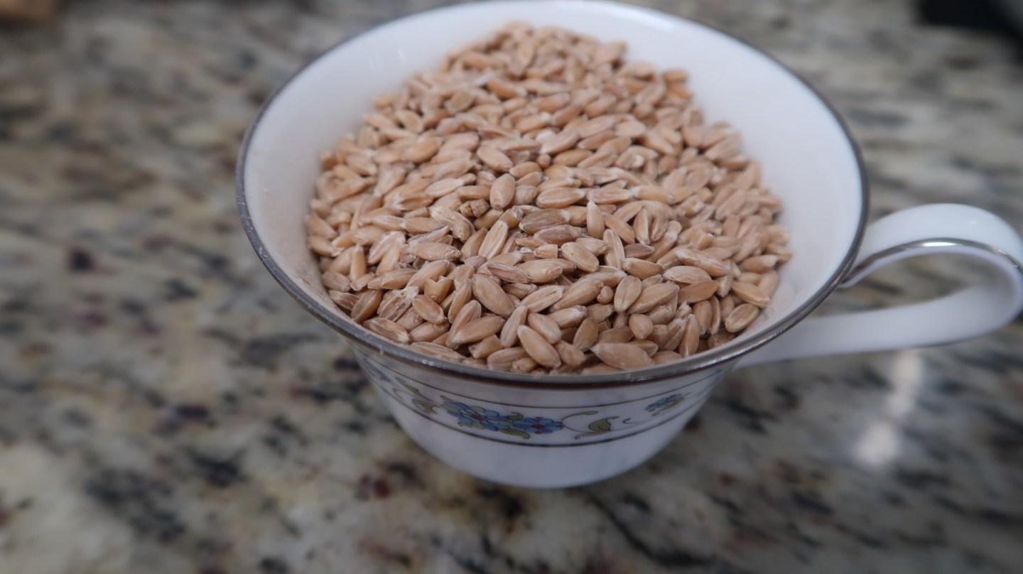 Simple Fresh-Milled Spelt Crackers – A Saltine Copycat Recipe