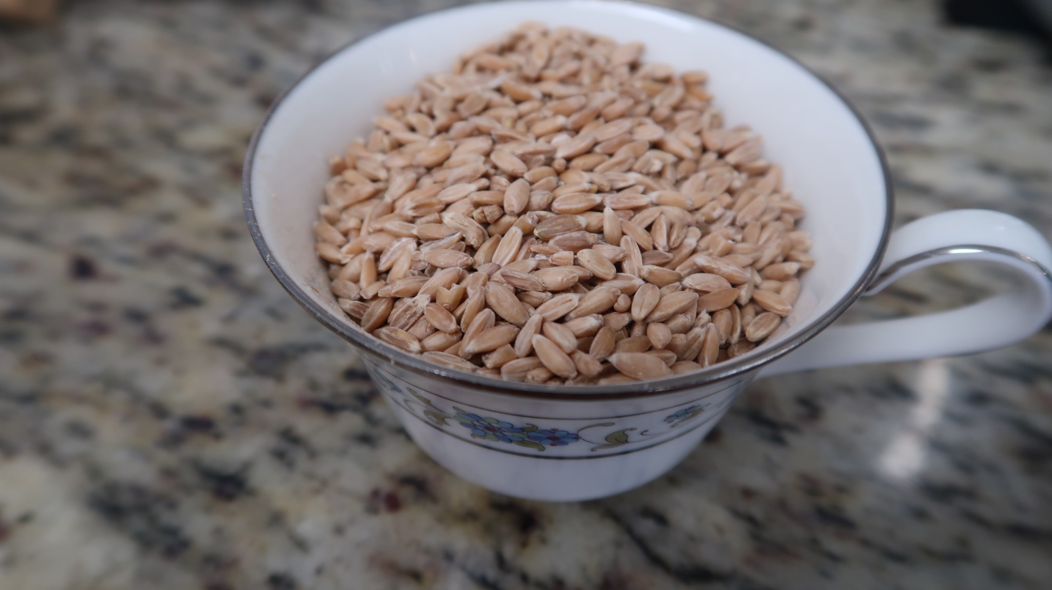 Wheat Berries 101: Everything You Need to Know About Types of Wheat for ...