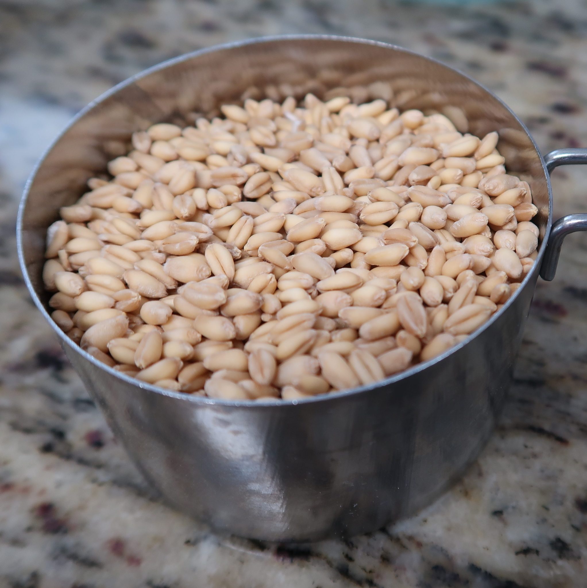 Wheat Berries 101: Everything You Need to Know About Types of Wheat for ...