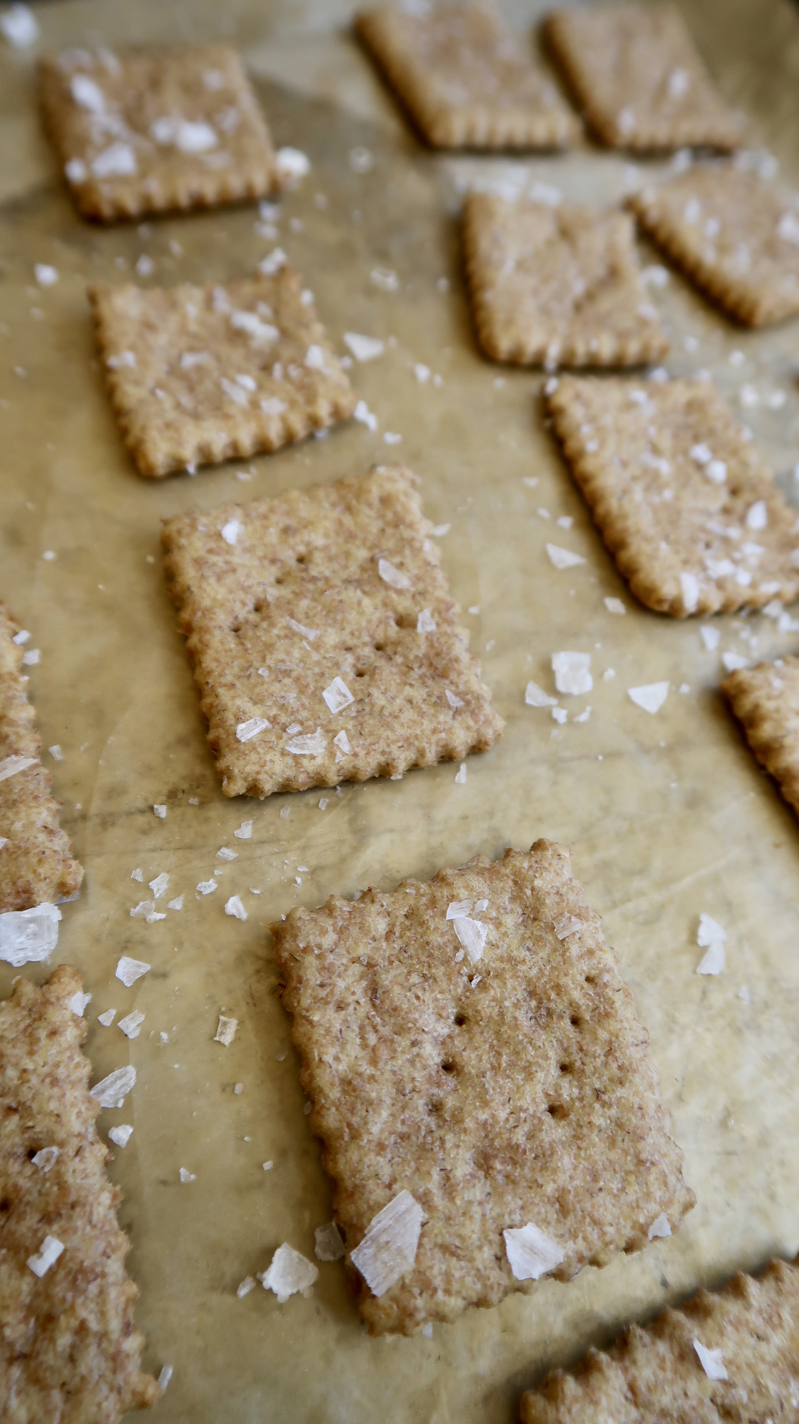 Simple Fresh-Milled Spelt Crackers – A Saltine Copycat Recipe